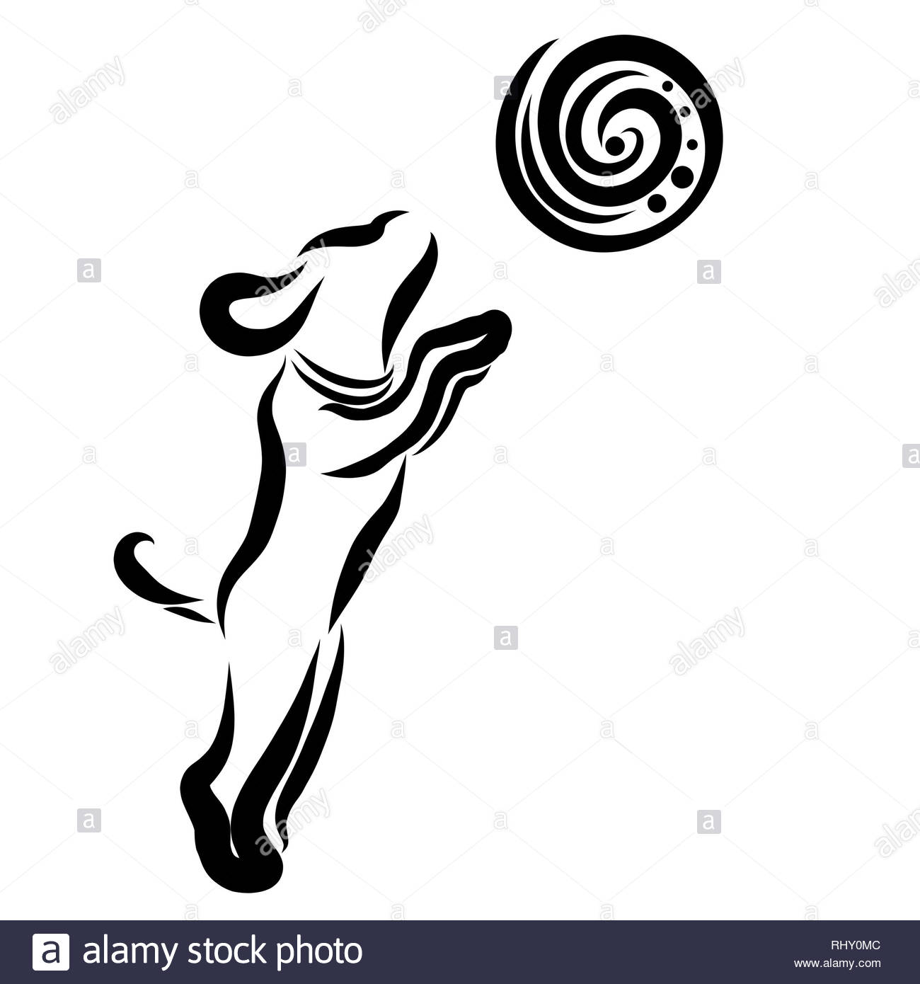 Black Outline Drawing Dog Isolated Stock Photos & Black Outline Drawing ...