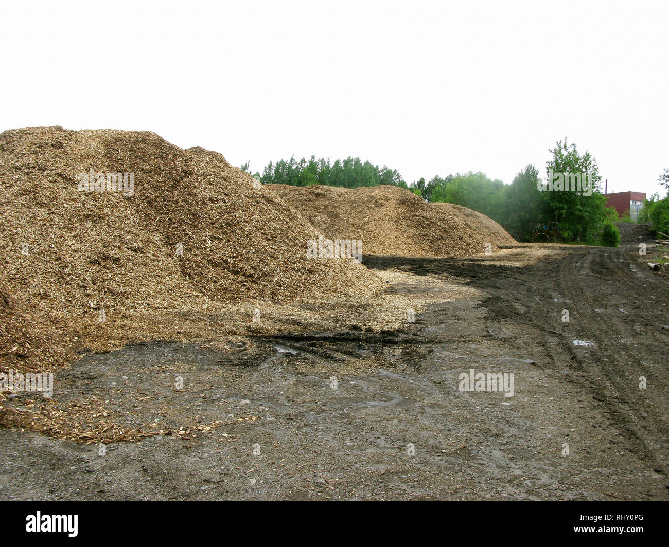 FOREST CHIPS for heathing in plants Stock Photo - Alamy