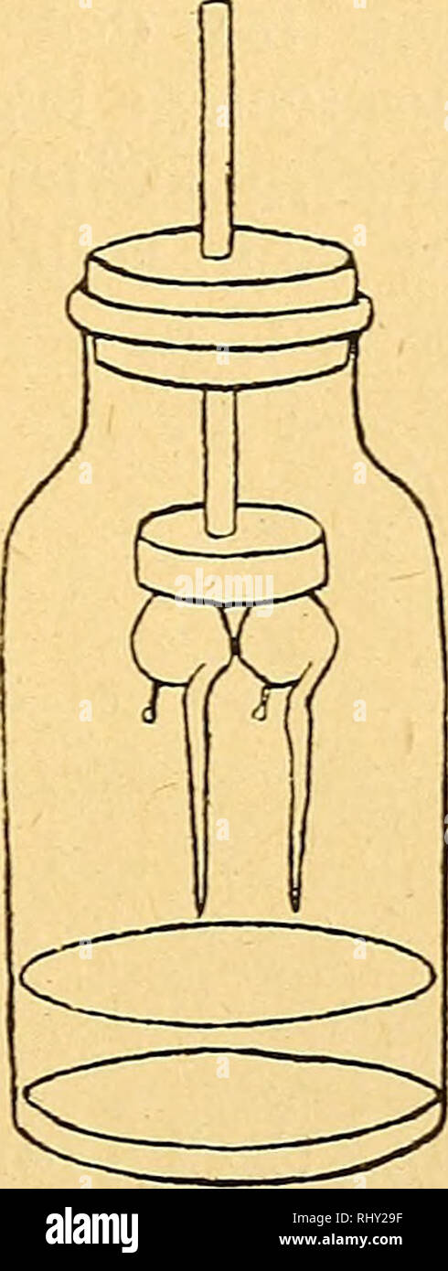 Ganze serie hi-res stock photography and images - Alamy