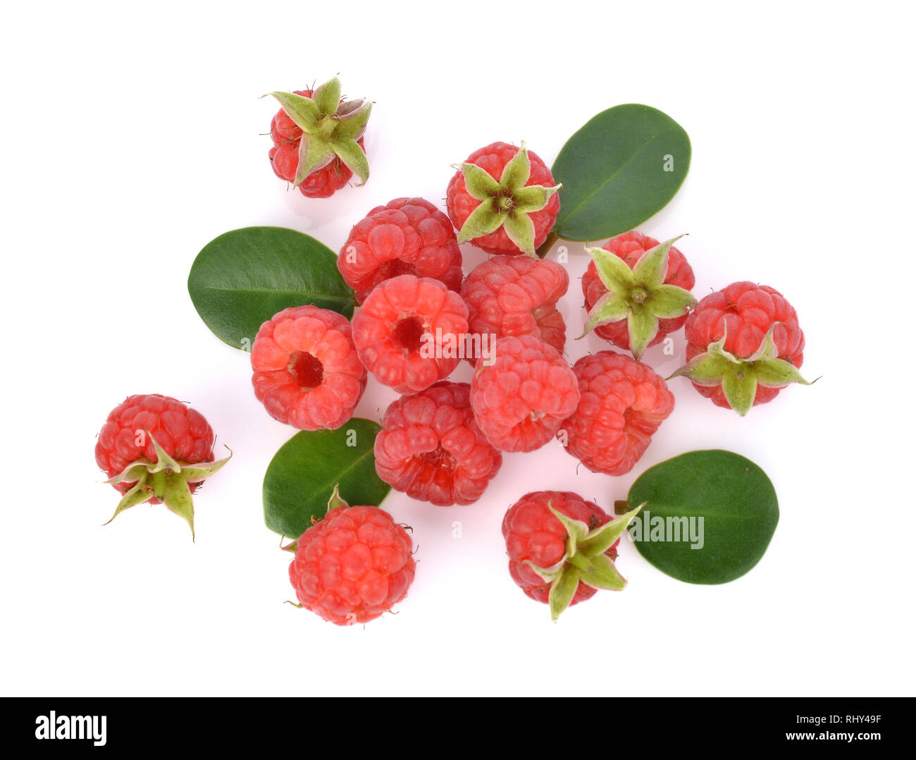 Top view of Raspberries isolated on white background Stock Photo - Alamy