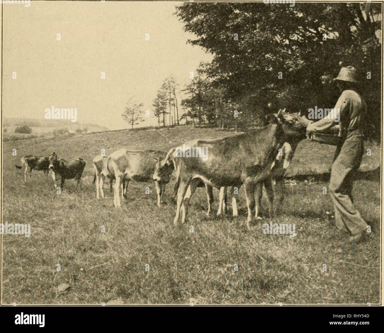 Contain farm animals hi-res stock photography and images - Alamy