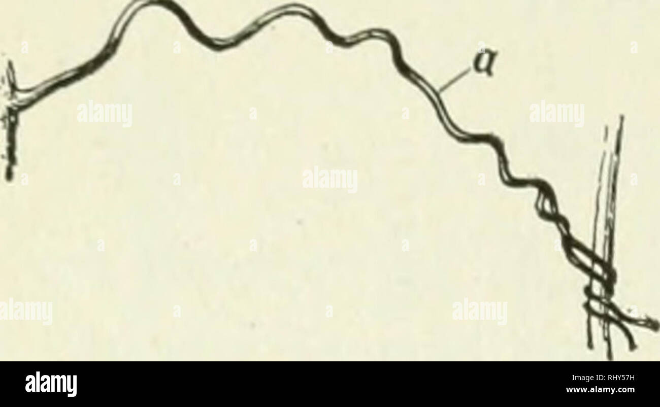 . Beginners botany. Botany. no BEG/AW/iJUS' BO TANV. Fig. 169 ...