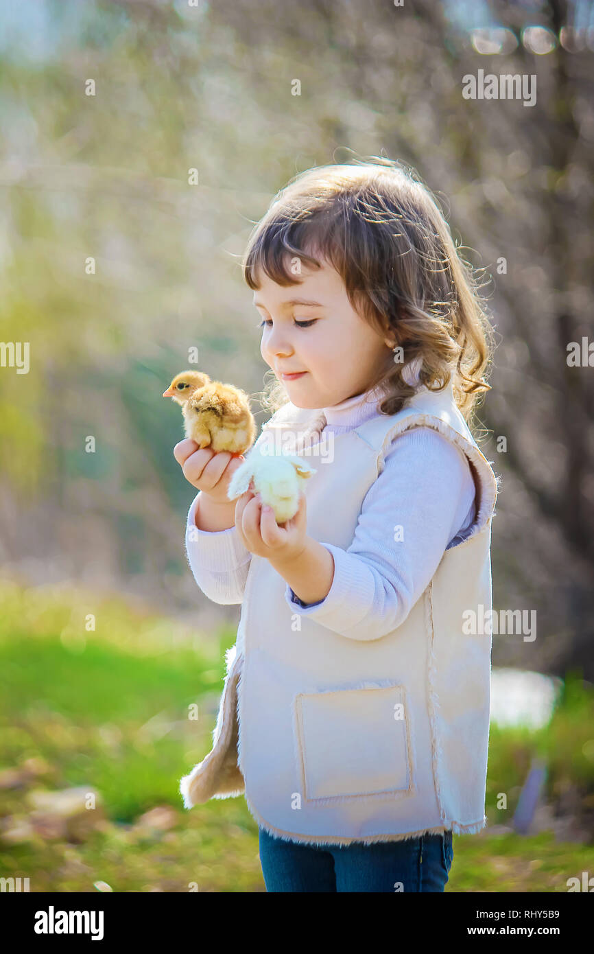 Friends the one with a chick and a duck hi-res stock photography and ...