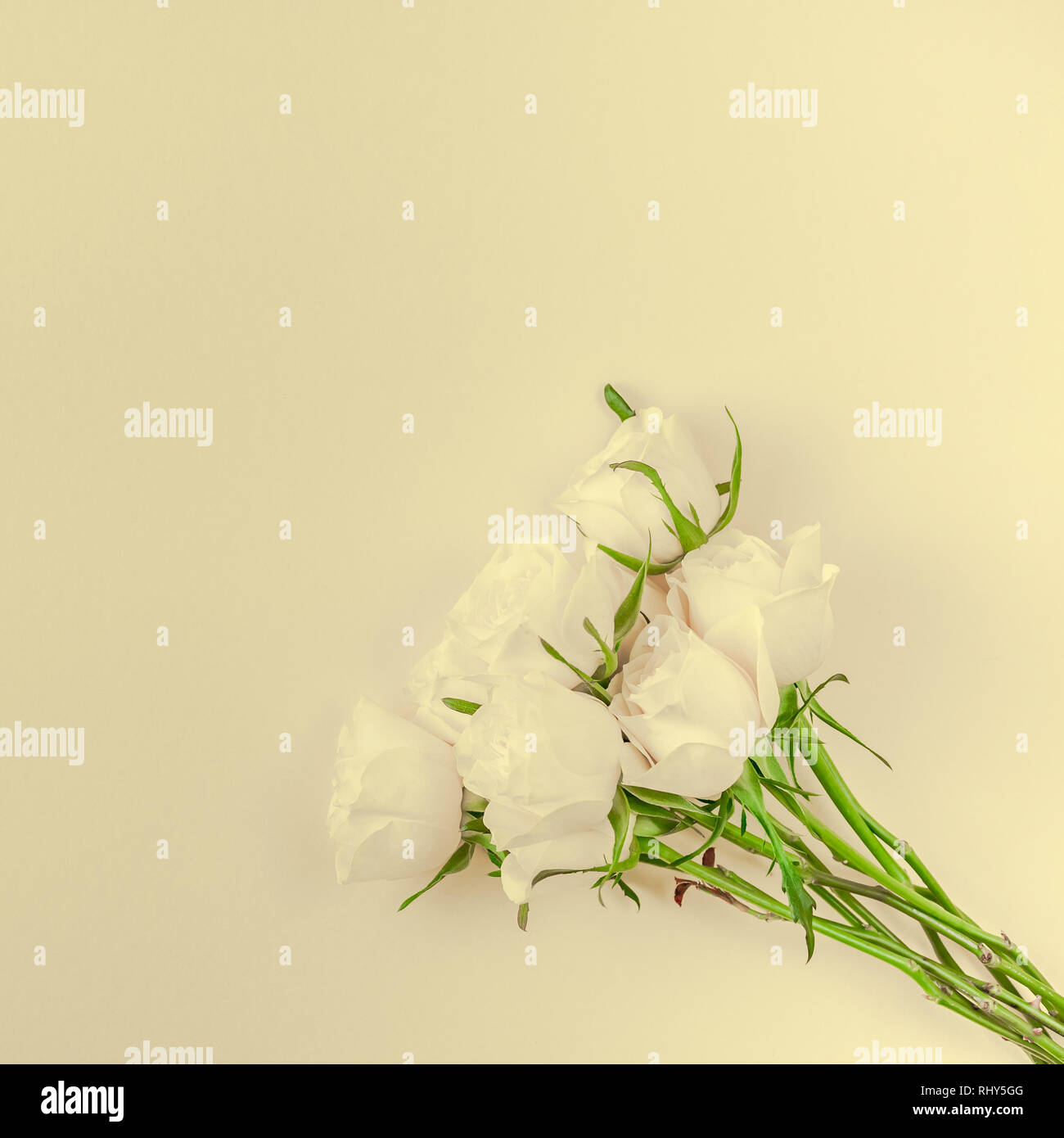 Flat hol hi-res stock photography and images - Alamy