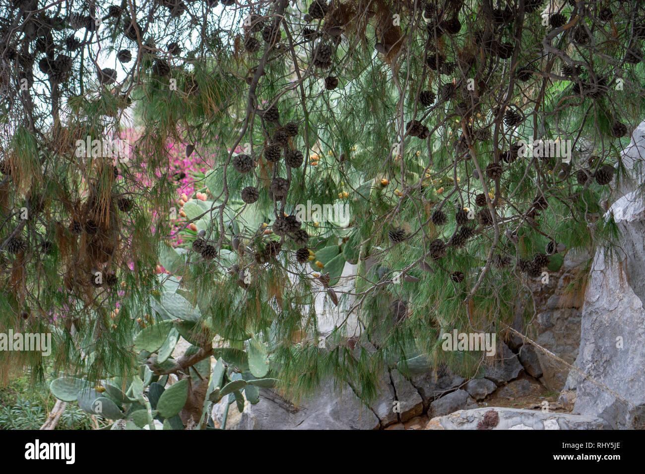 Hydra was Leonard Cohen's Greek island retreat. It inspired the artist ...