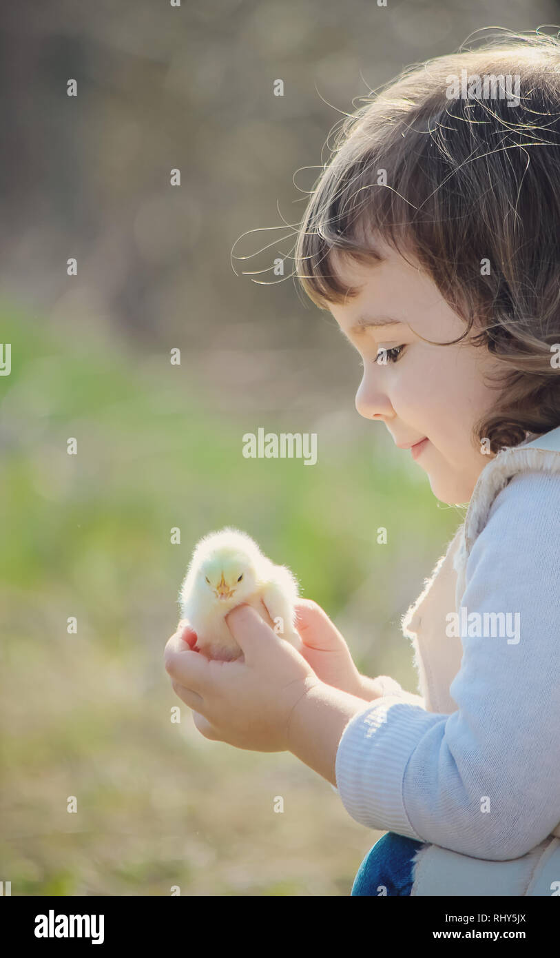 Friends the one with a chick and a duck hi-res stock photography and ...