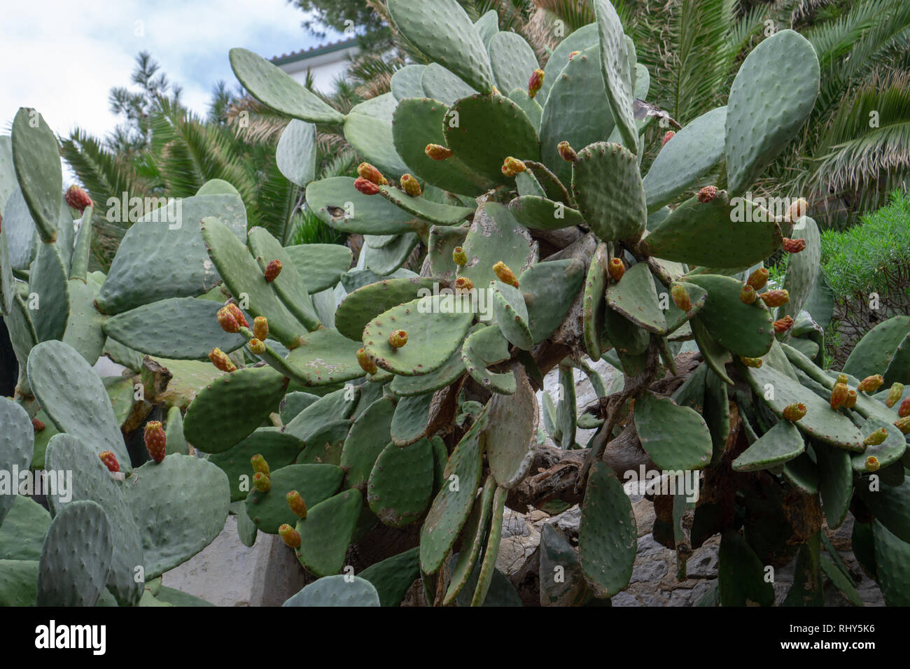 Marianne ihlen hi-res stock photography and images - Alamy