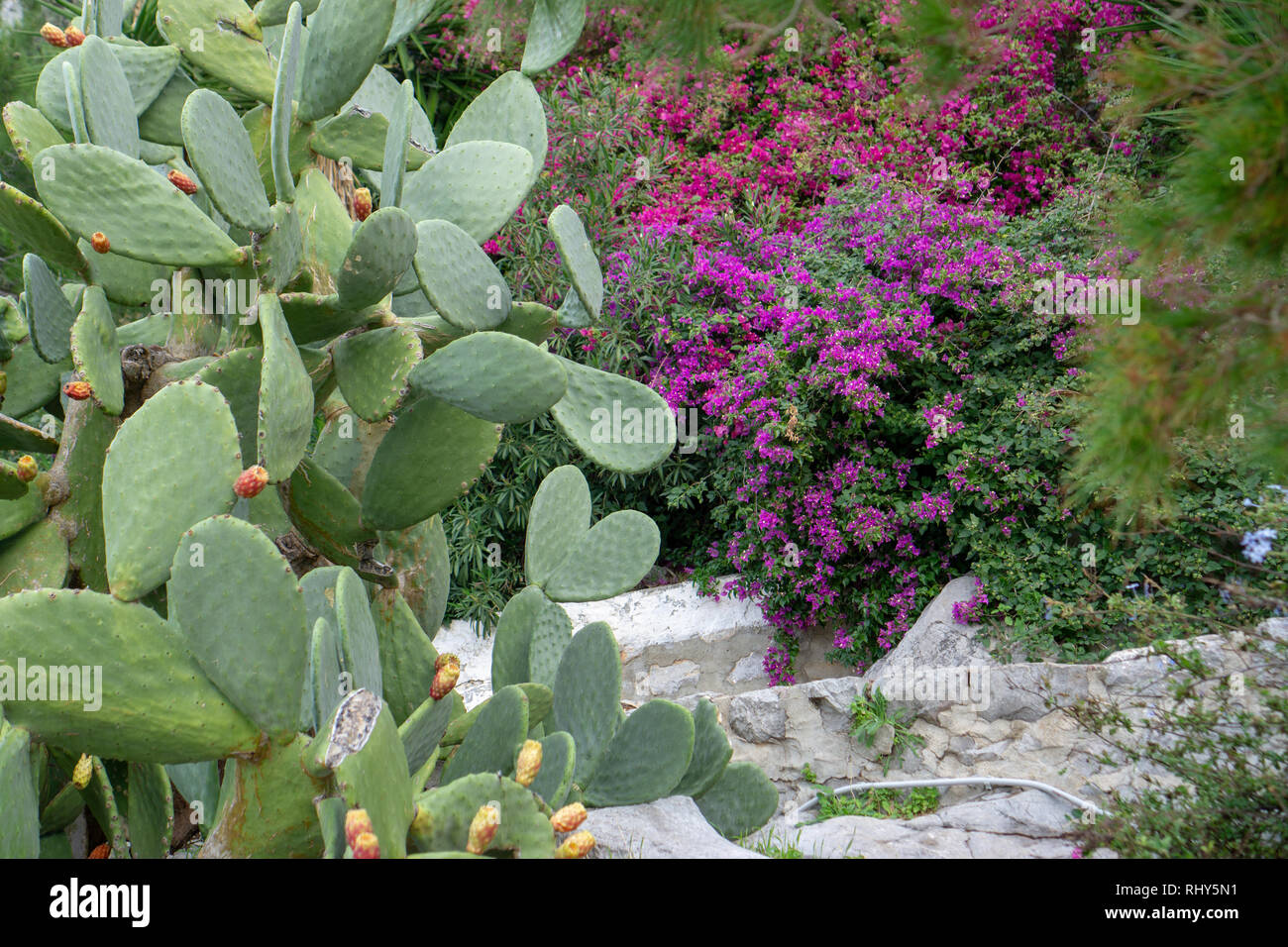 Marianne ihlen hi-res stock photography and images - Alamy