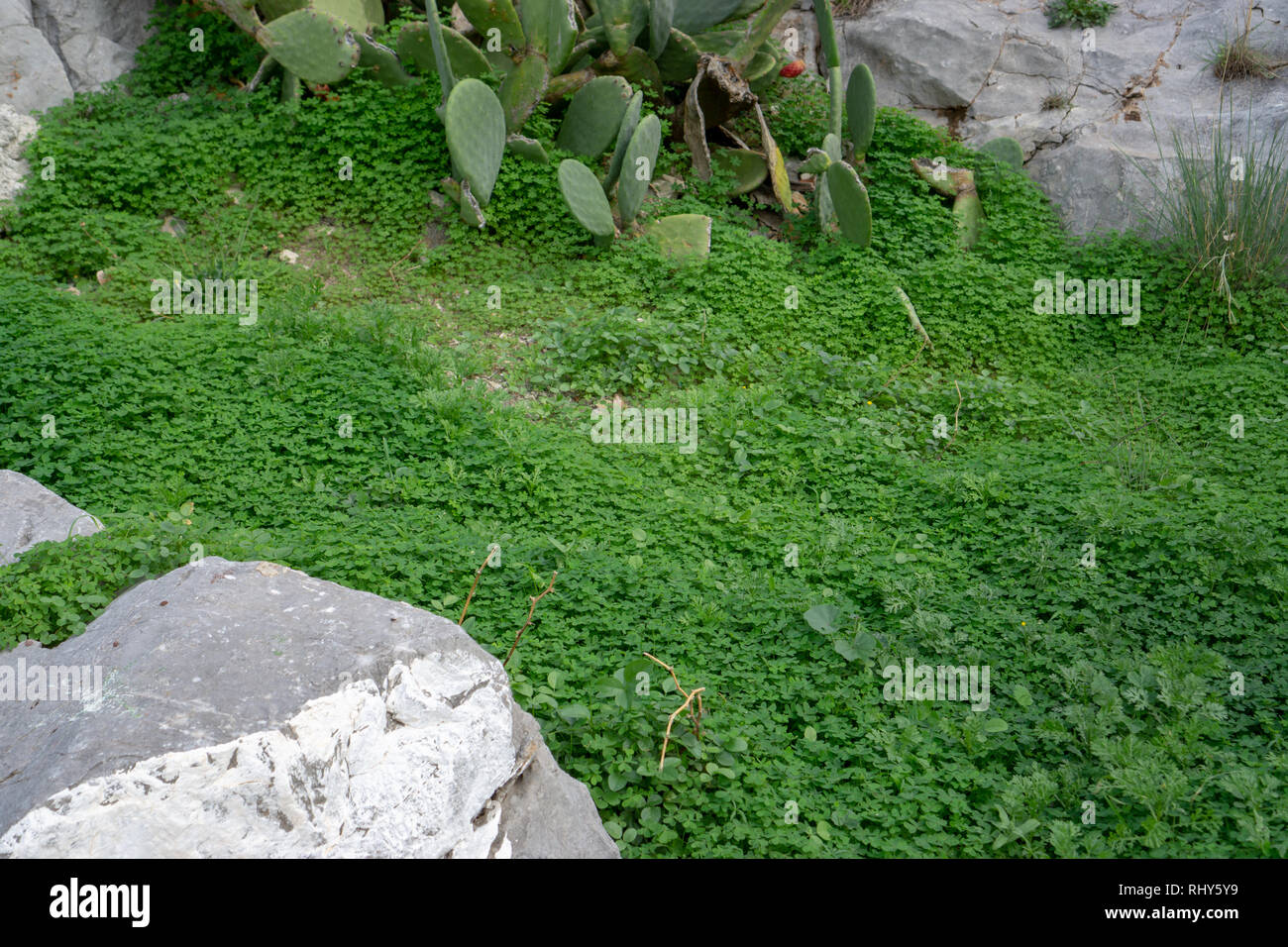 Marianne ihlen hi-res stock photography and images - Alamy