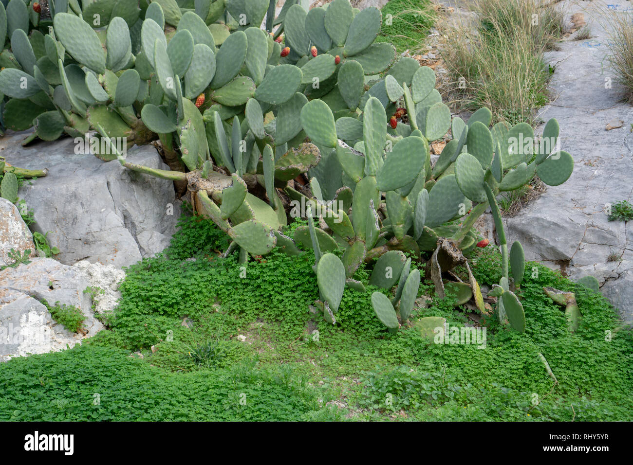 Marianne Ihlen High Resolution Stock Photography and Images - Alamy