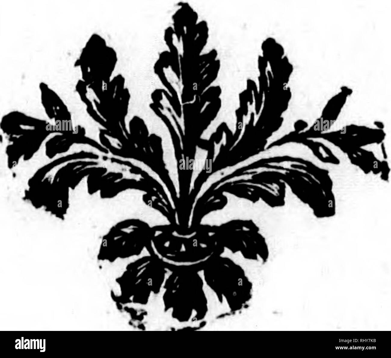 Dle font hi-res stock photography and images - Alamy