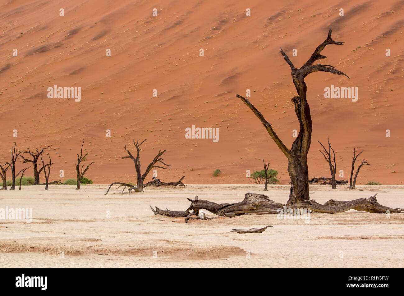Ode climate change hi-res stock photography and images - Alamy