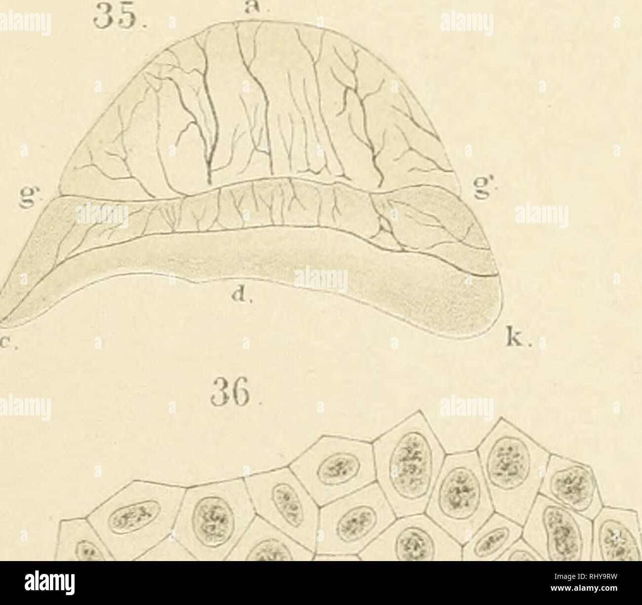 Bookspon hi-res stock photography and images - Alamy