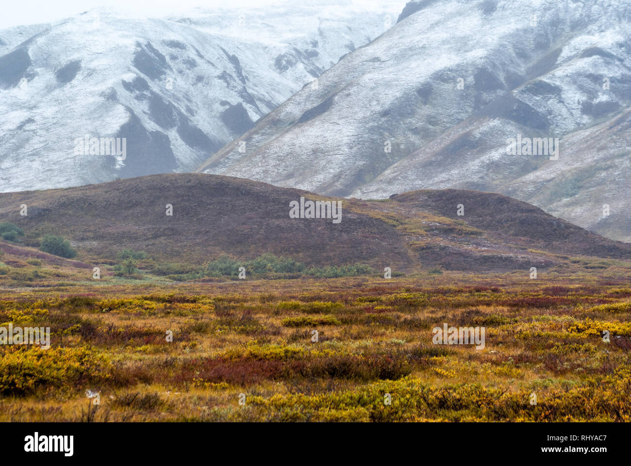 Denali in the winter hi-res stock photography and images - Alamy