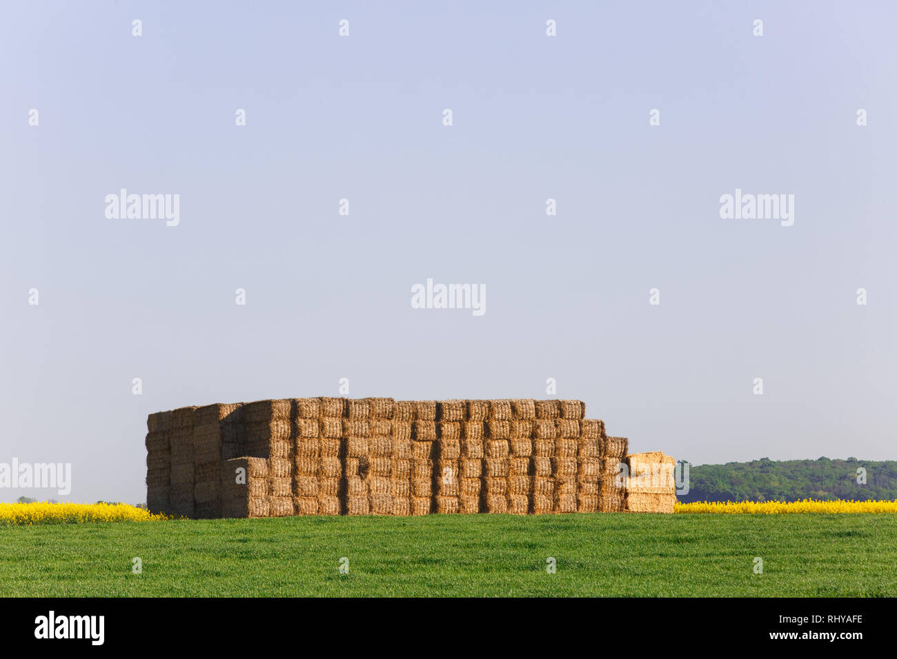 Fodder production hi-res stock photography and images - Alamy