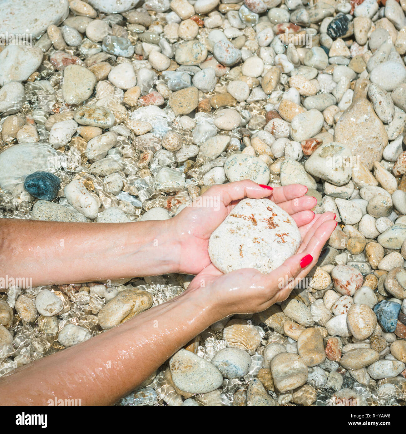 Female hands holding stone over the clean sea water. Eco summer concept ...