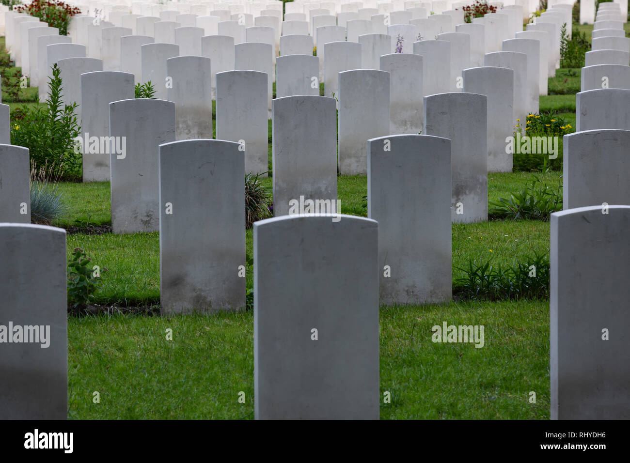 War tree graveyard cemetery hi-res stock photography and images - Alamy