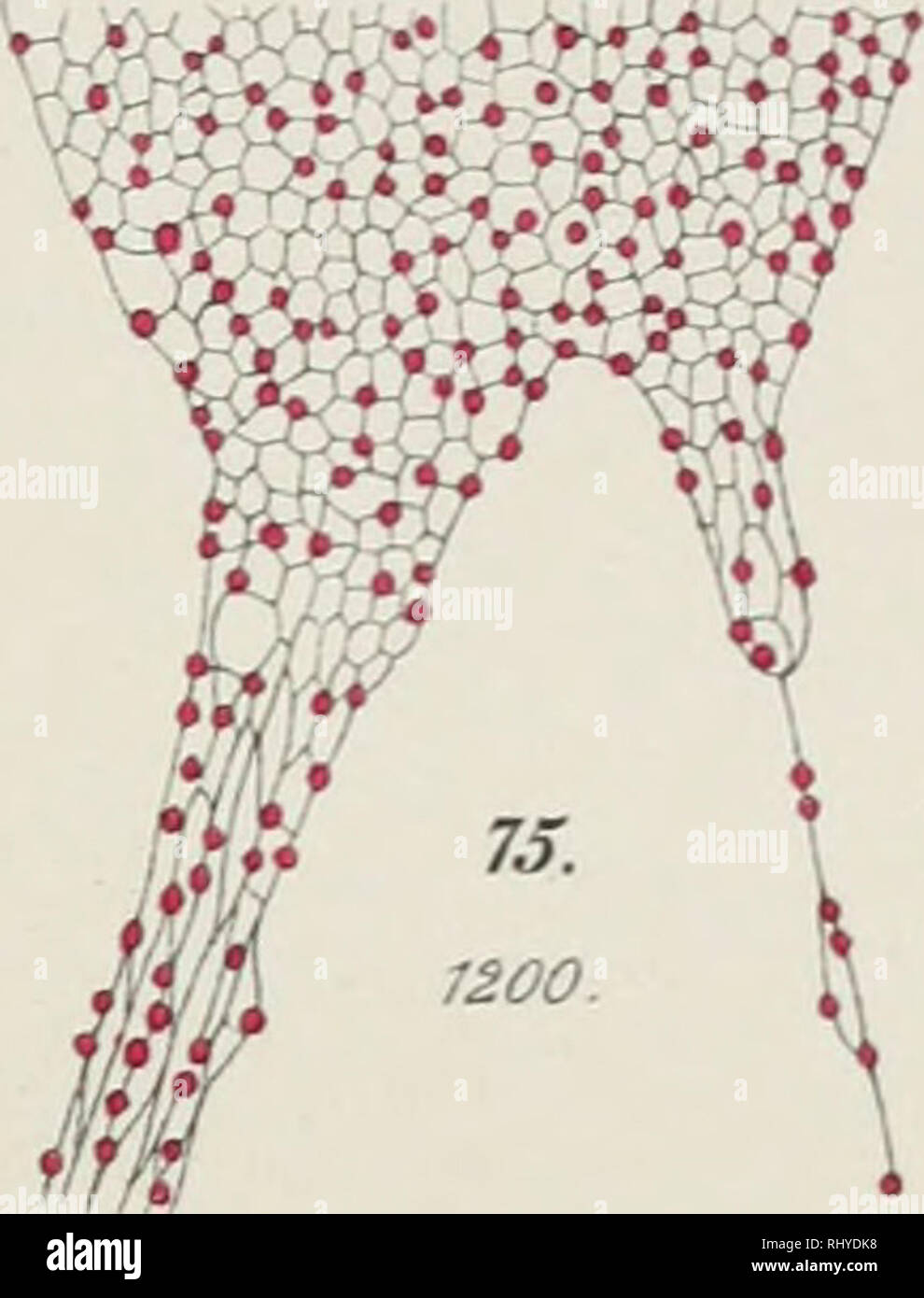 R200 hi-res stock photography and images - Alamy