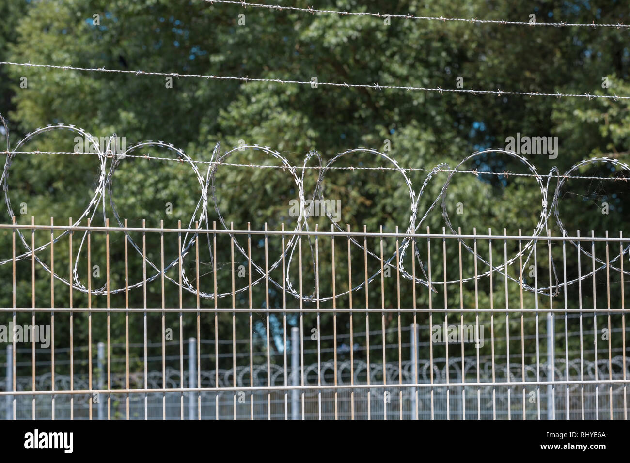 Barbed wire fence barrier in front of trees Stock Photo - Alamy