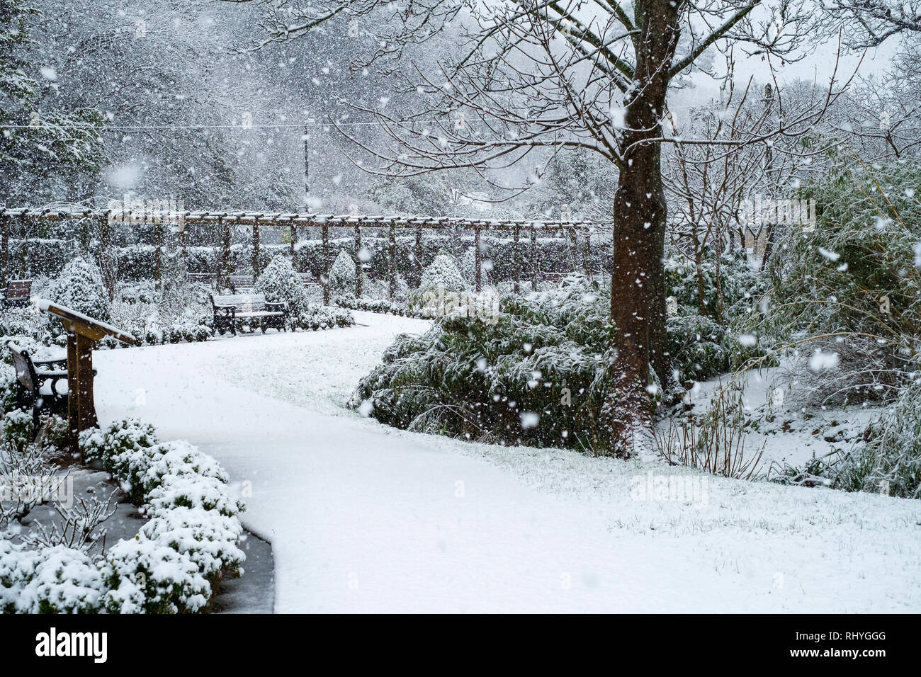 Heavy snowfall in Trenance Park in Newquay in Cornwall Stock Photo - Alamy