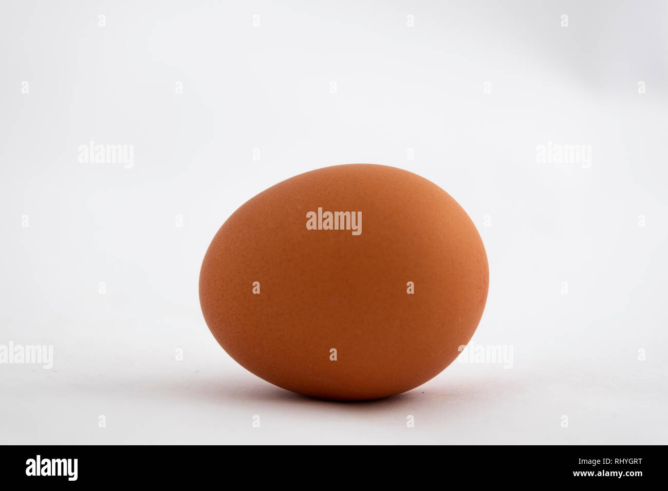 Single Chicken Egg Studio Shot Image on white background Stock Photo ...