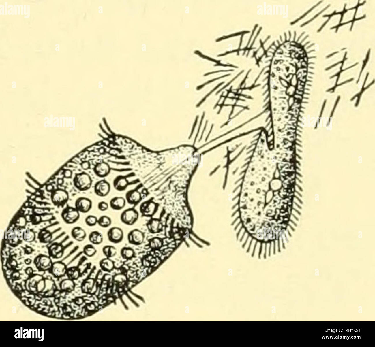 Getting into the vortex hi-res stock photography and images - Alamy