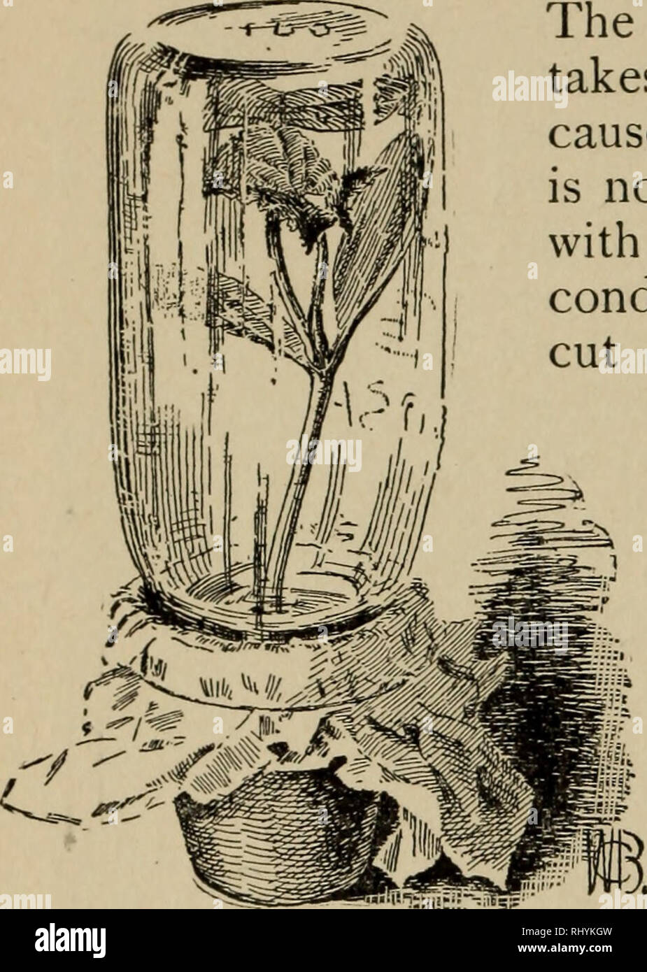 99 noticed hi-res stock photography and images - Alamy