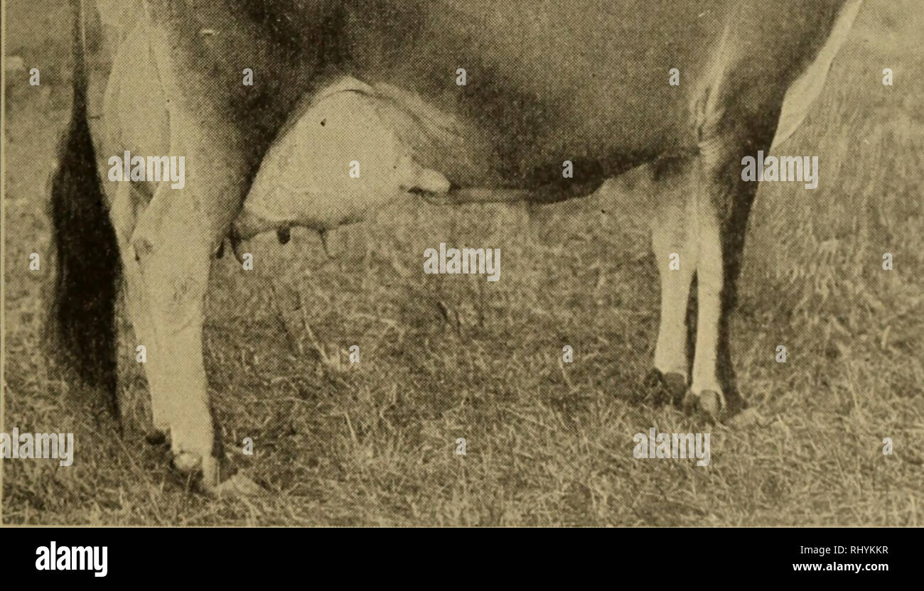 . Beginnings in animal husbandry. Livestock; Poultry. Fig. 114. A ...