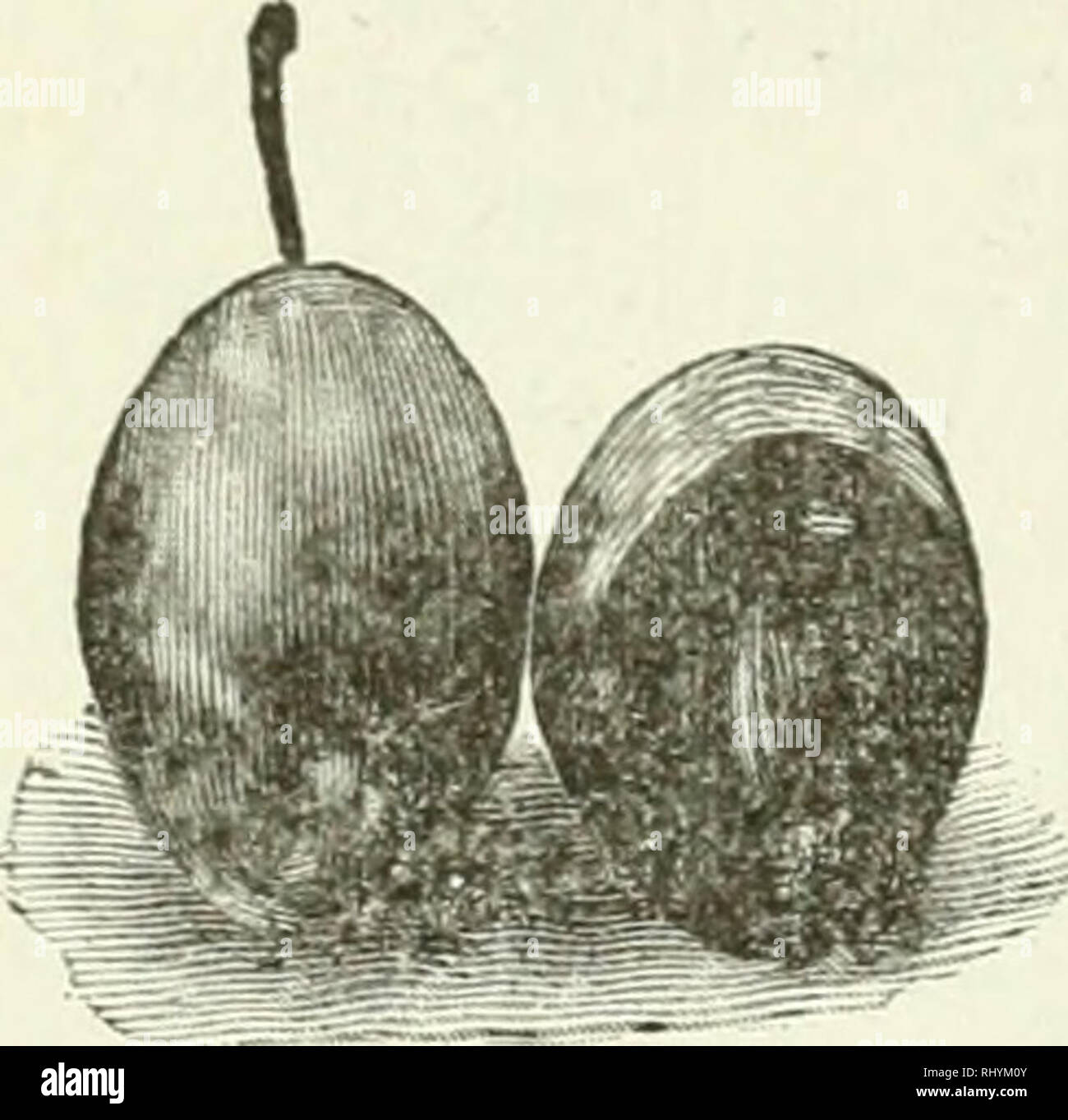 Stone examples begin hi-res stock photography and images - Alamy