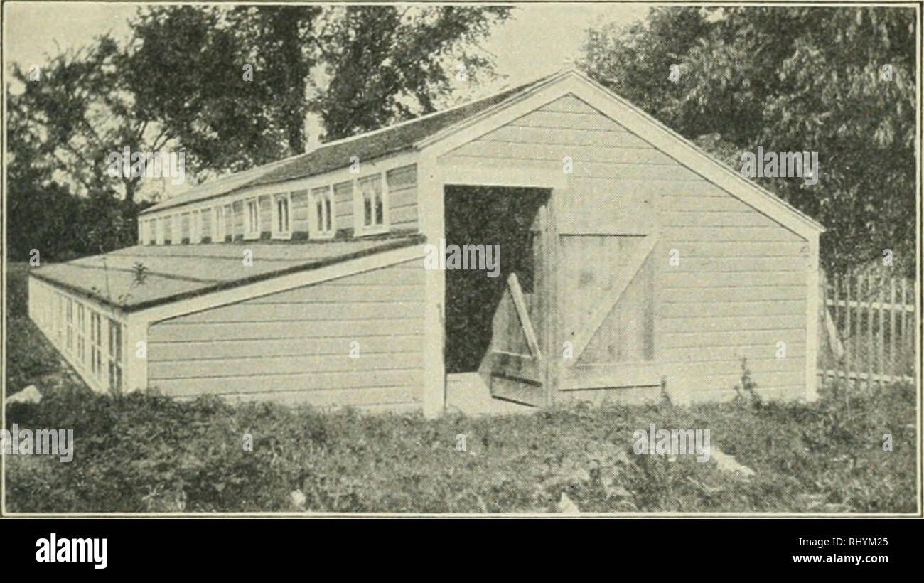 . Beginnings in animal husbandry. Livestock; Poultry. POULTRY HOUSES ...