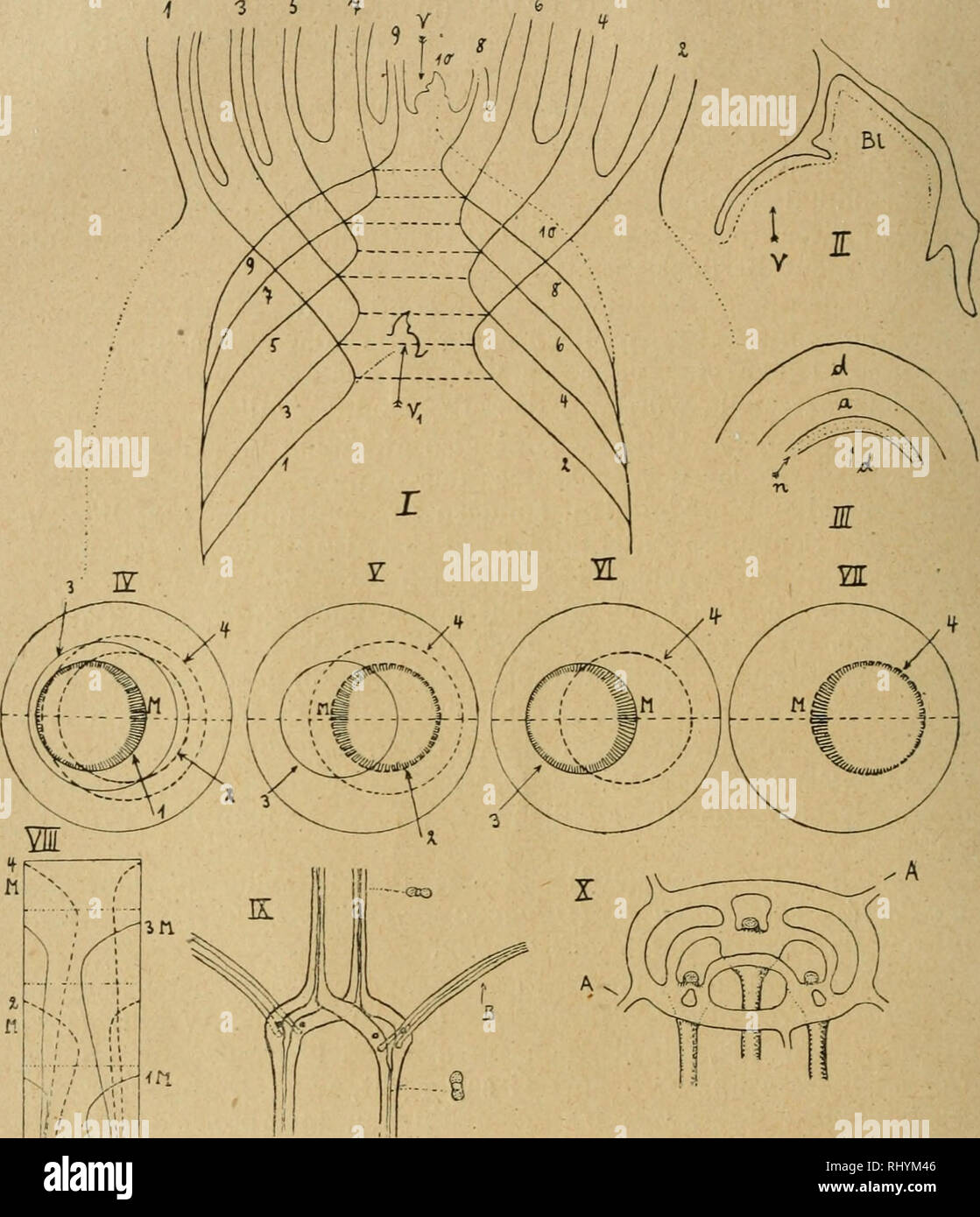 Suessenguth hi-res stock photography and images - Alamy