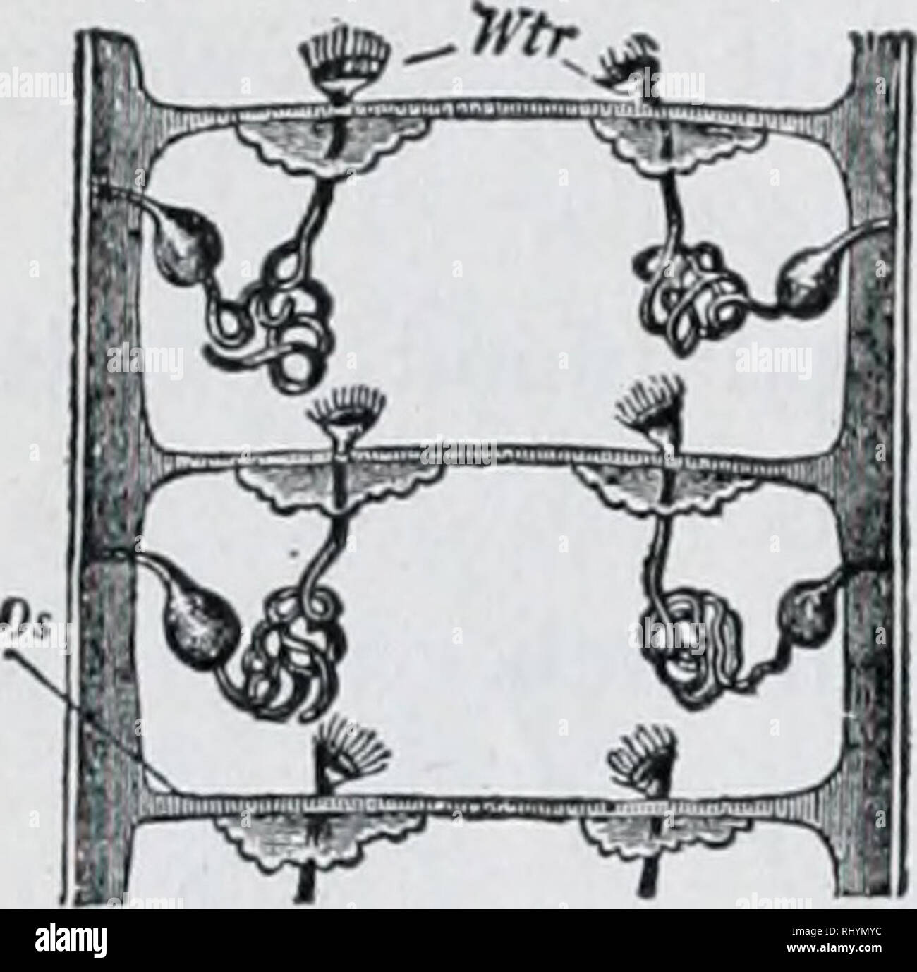 Breathing in and out diagram hi-res stock photography and images - Alamy