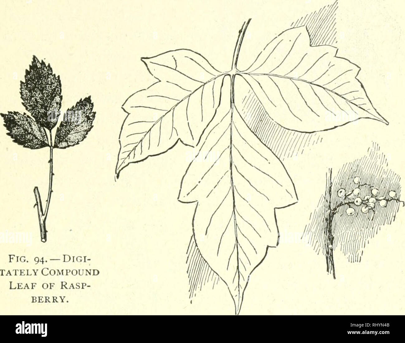 Tately High Resolution Stock Photography and Images - Alamy