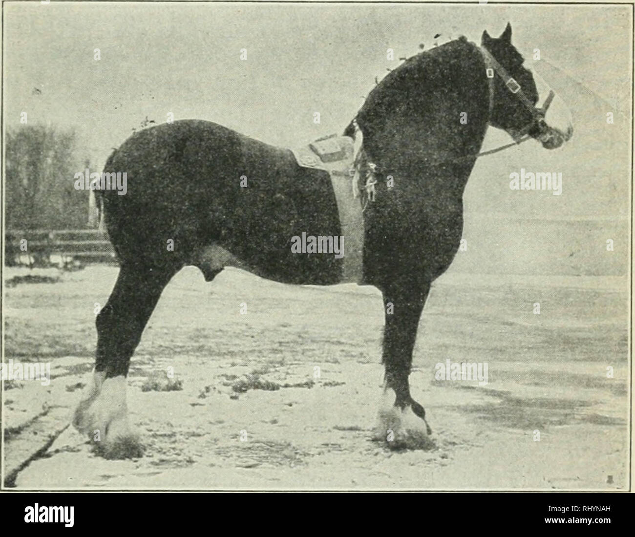 Flexing feet hi-res stock photography and images - Alamy