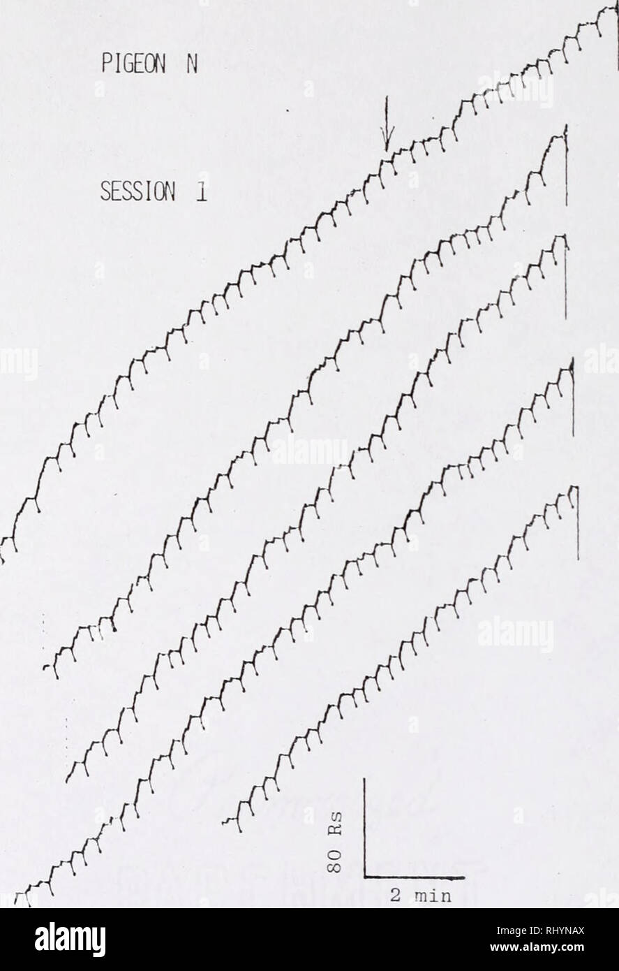 Operant behavior hi-res stock photography and images - Alamy