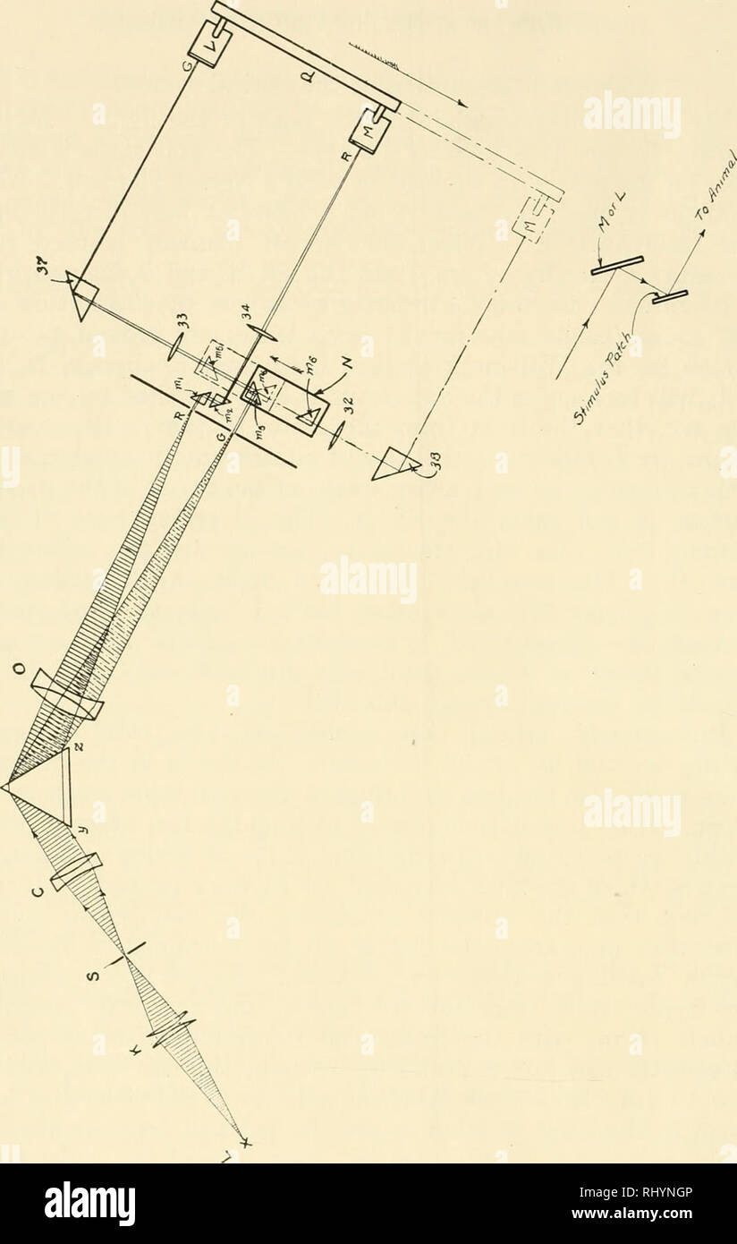 . Behavior monographs. Animal behavior. Figure 6—Diagrammatic sketch ...