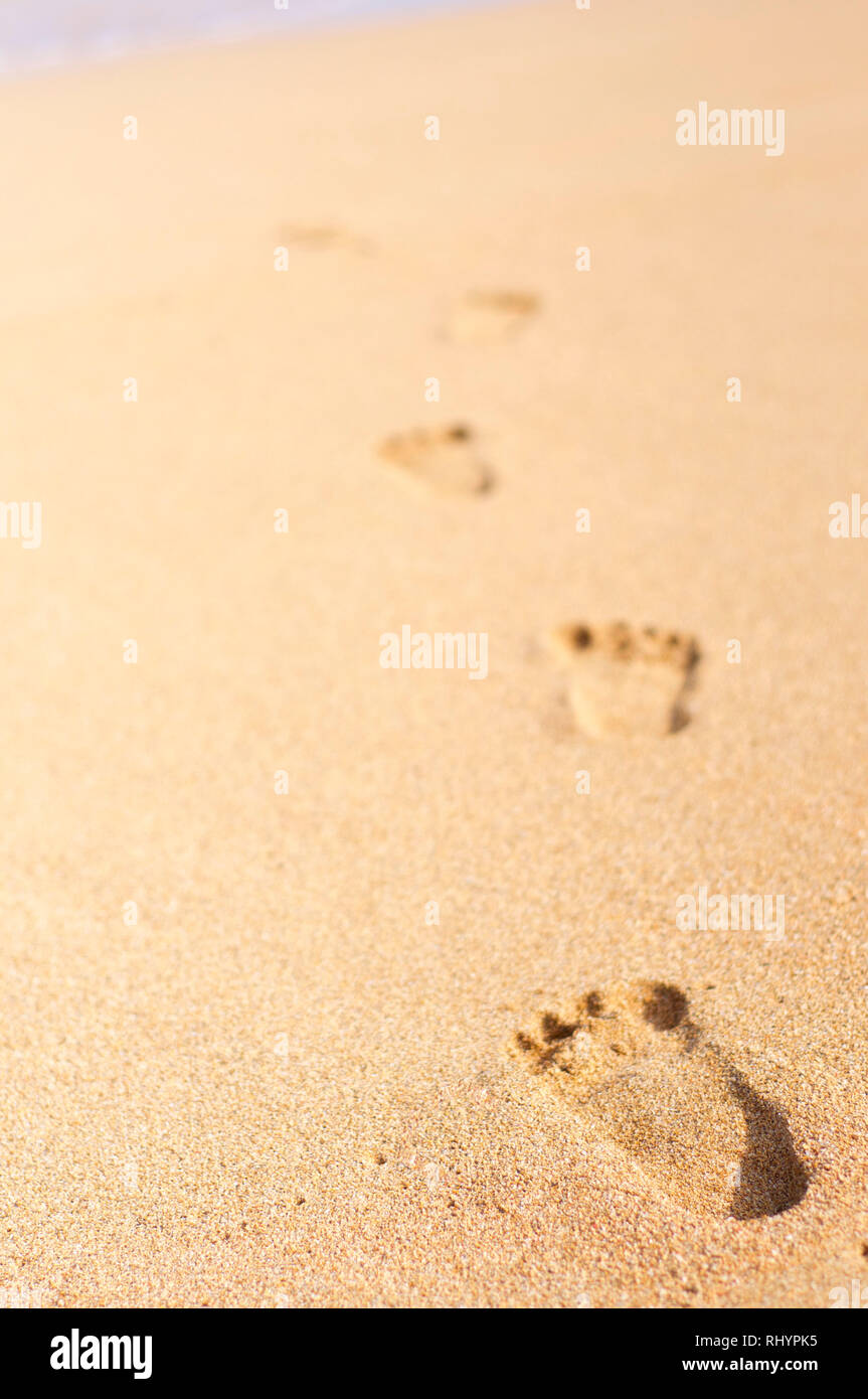 Focus on footprints hi-res stock photography and images - Alamy