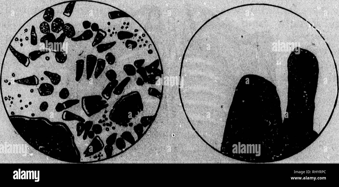 Coagulated oil hi-res stock photography and images - Alamy