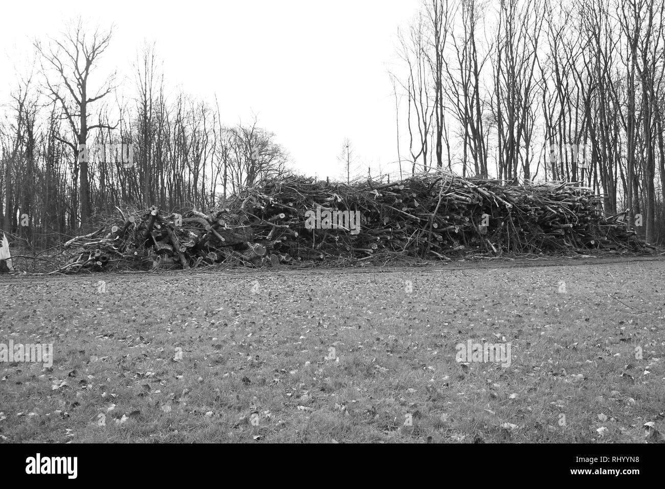 Baumfaller hi-res stock photography and images - Alamy