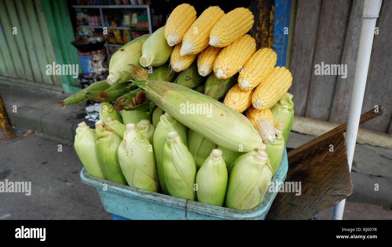 a stack of sweet corn is ready to be burned Stock Photo - Alamy