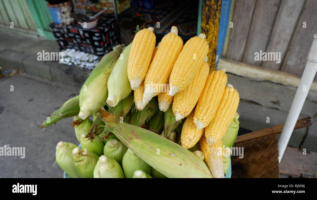 a stack of sweet corn is ready to be burned Stock Photo - Alamy