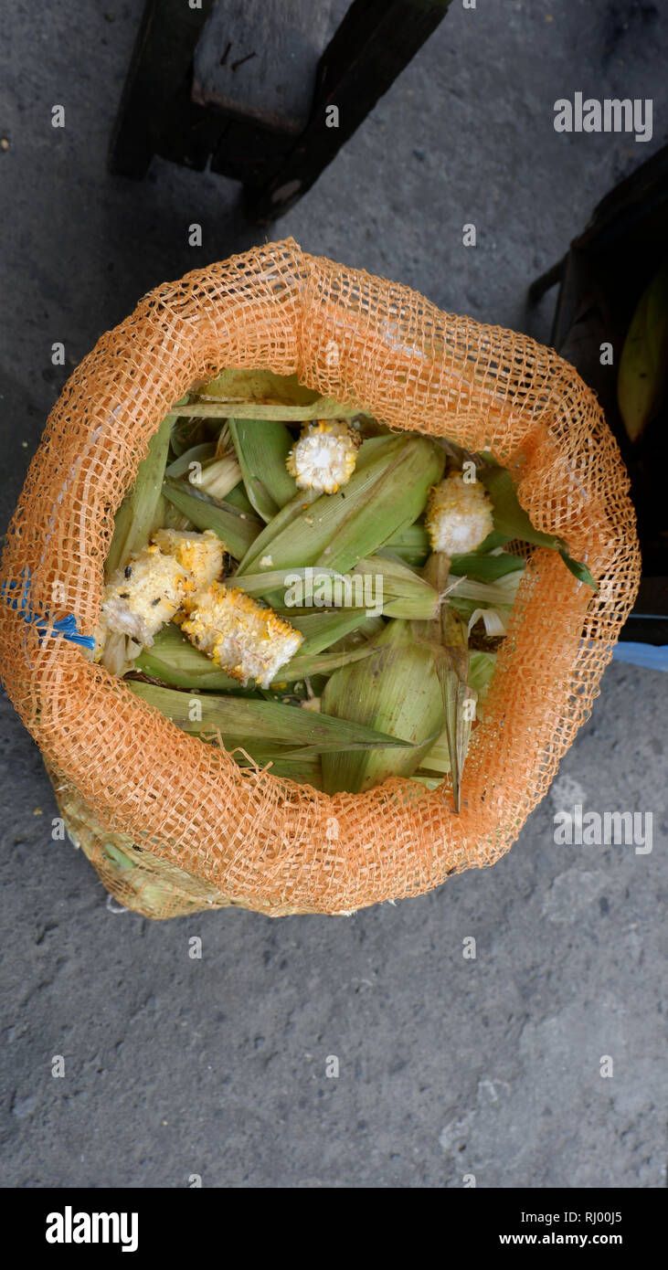Vegetable trash is wasted Stock Photo - Alamy