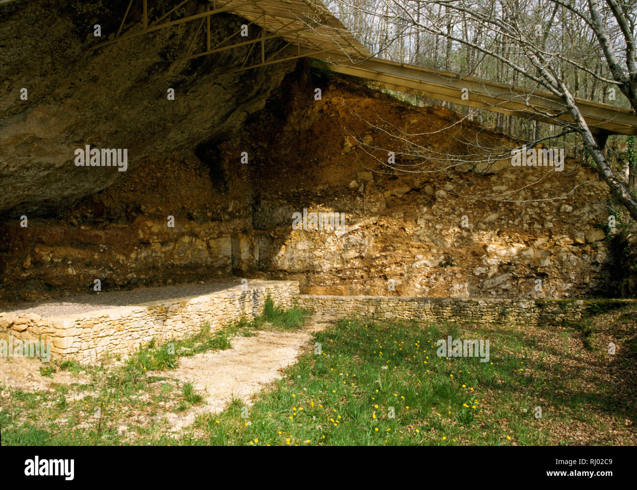 Neanderthal Shelter