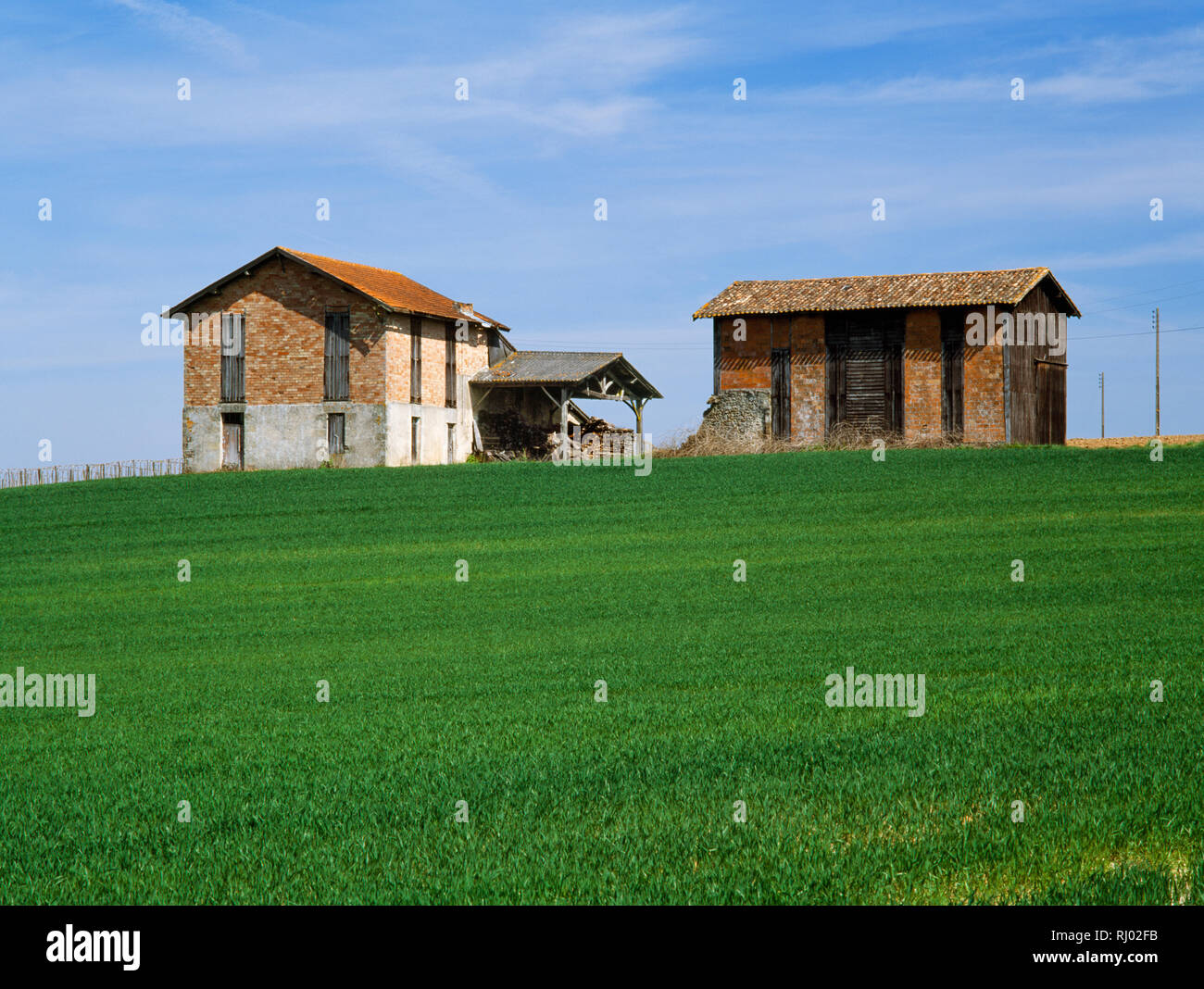 Air curing hi-res stock photography and images - Alamy