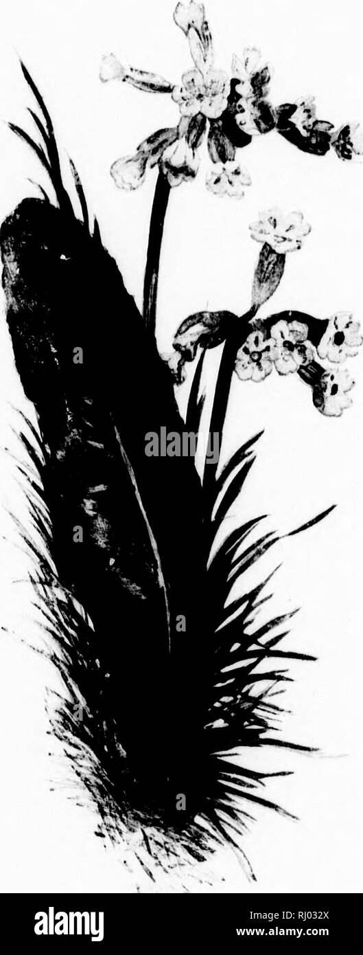 Madc hi-res stock photography and images - Alamy