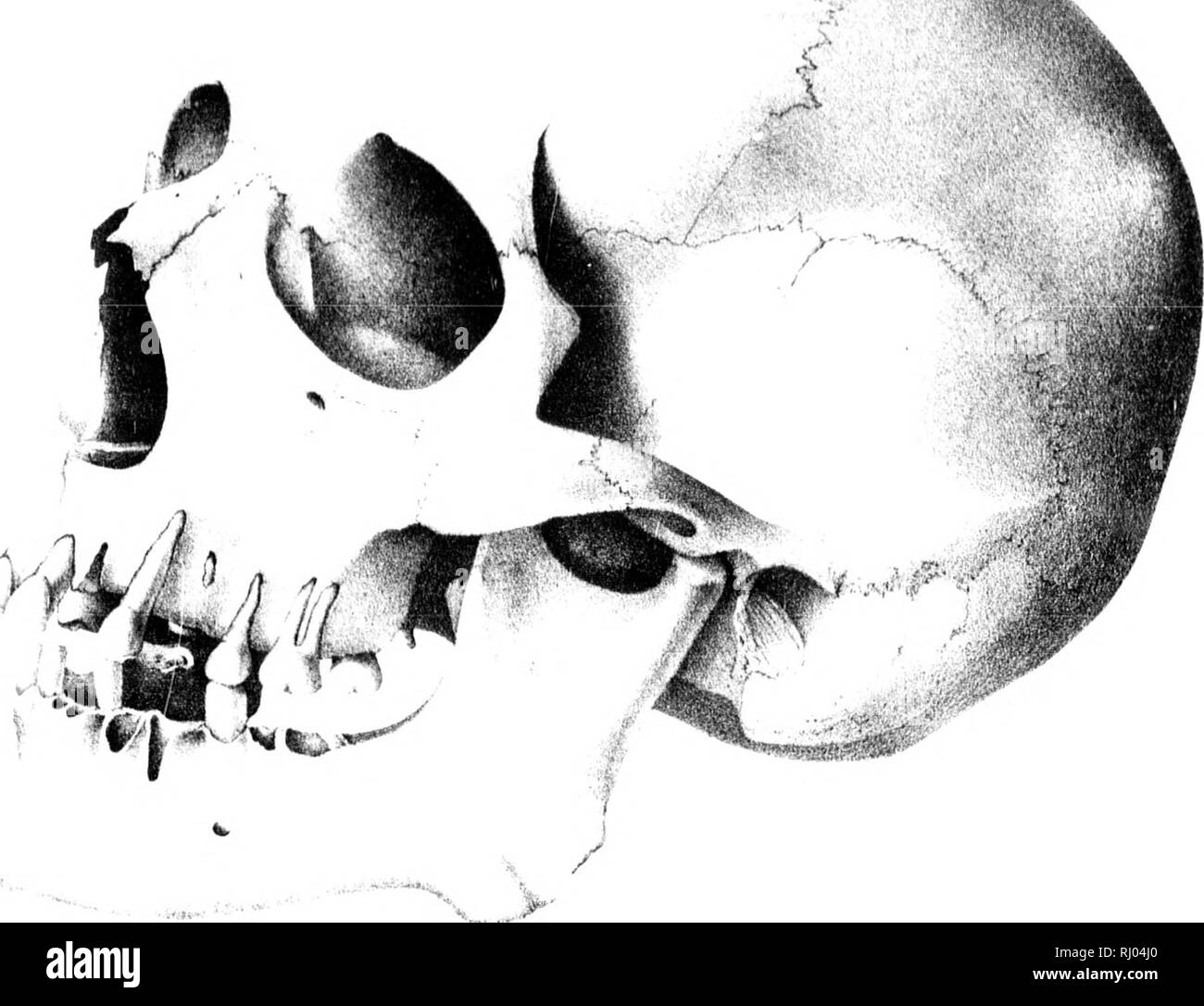 Aboriginal nations Cut Out Stock Images & Pictures - Alamy