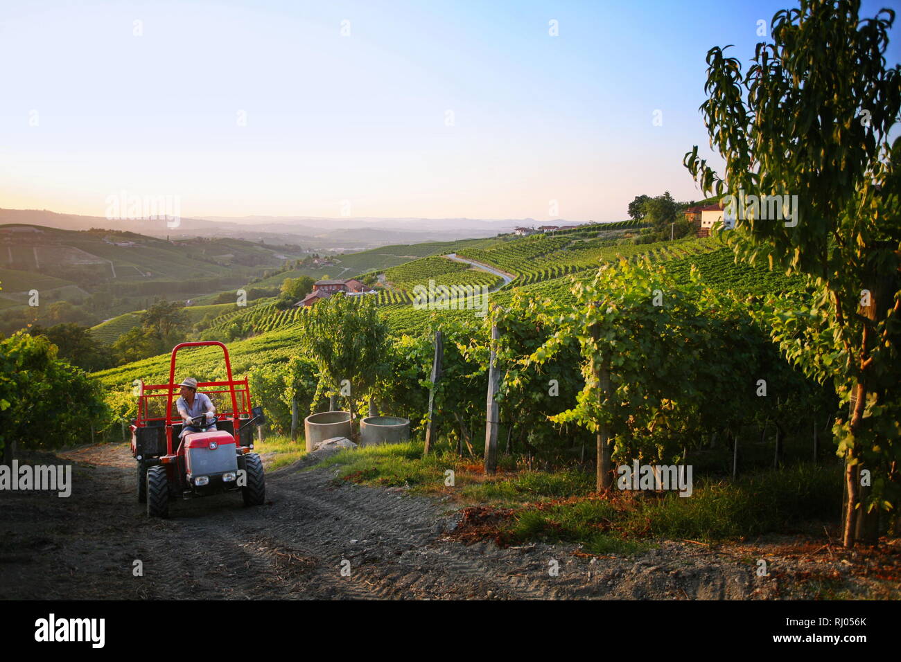 Countryside chianti italy hi-res stock photography and images - Alamy