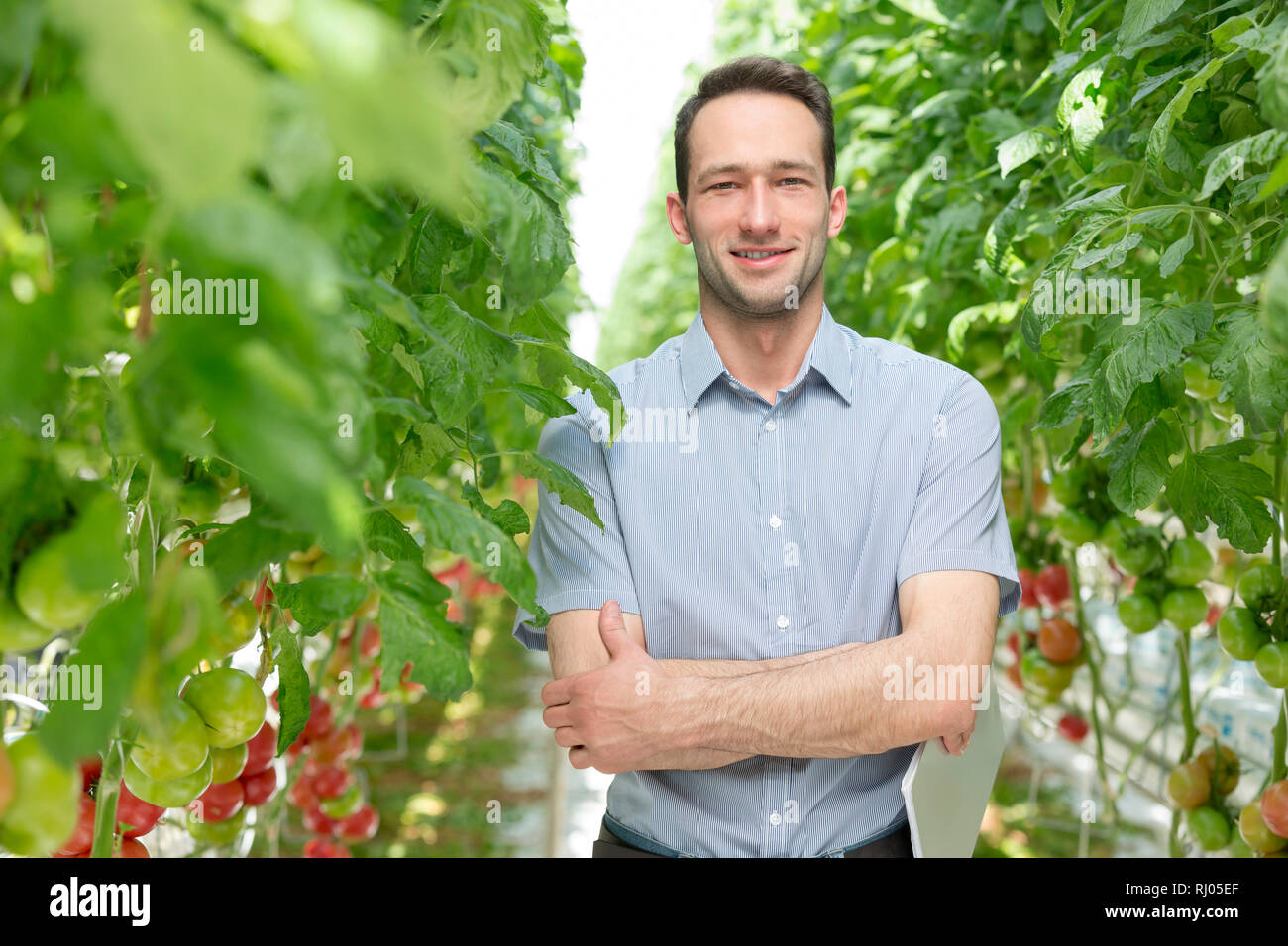 Customer supervisor hi-res stock photography and images - Alamy