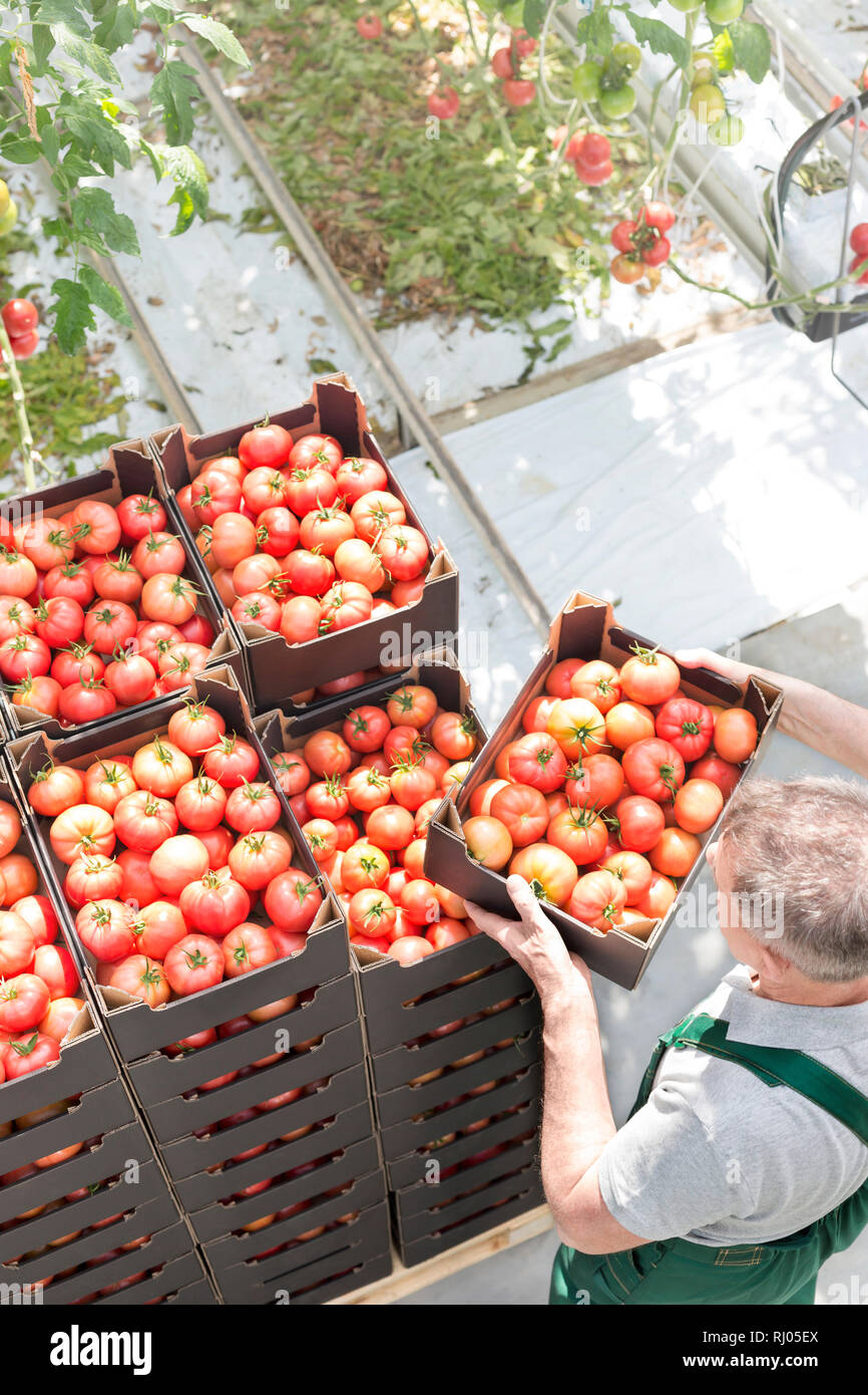 Tomato crates hi-res stock photography and images - Alamy