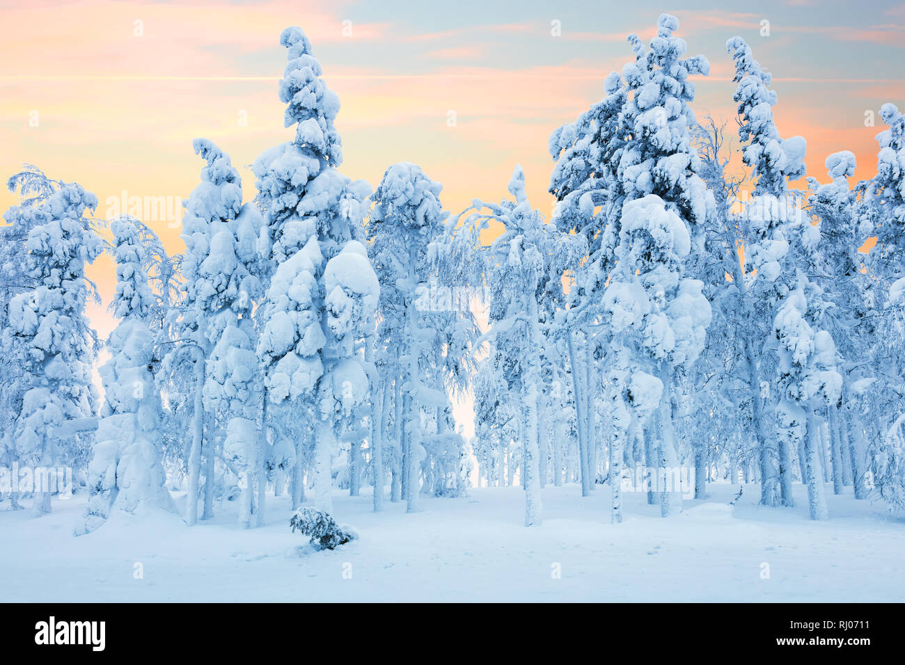 Blizzard landscape hi-res stock photography and images - Alamy